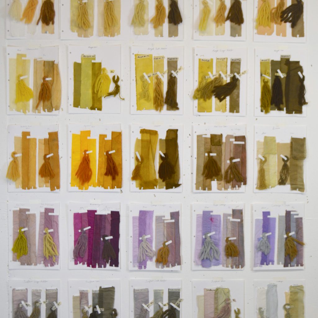 Madelaine Corbin's Mobile Color Lab - The Corvallis Advocate