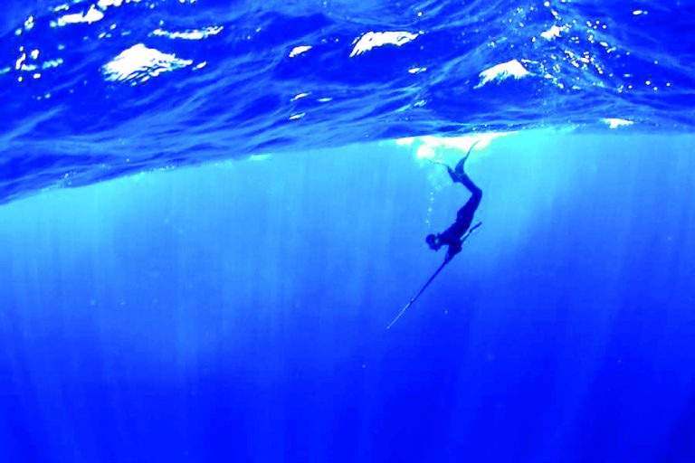 Freedive Spearfishing in Oregon? - The Corvallis Advocate