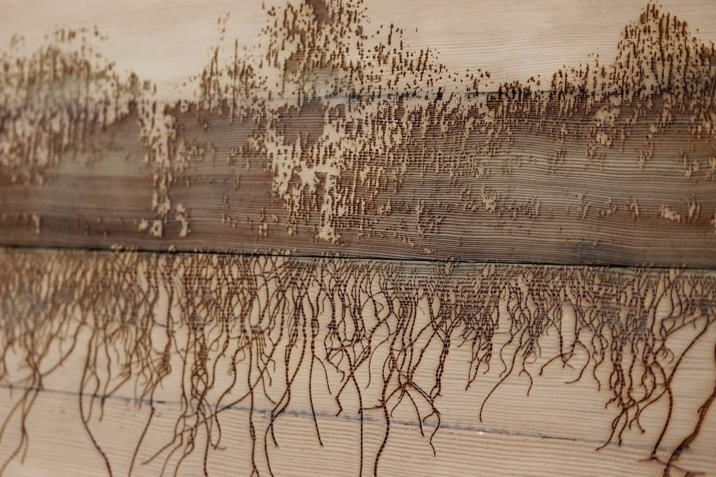 Arts Walk, Dec 21: Exhibition Insights, Michael Boonstra, and Montage ...