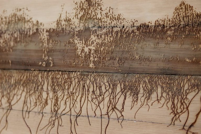 Arts Walk, Dec 21: Exhibition Insights, Michael Boonstra, and Montage ...