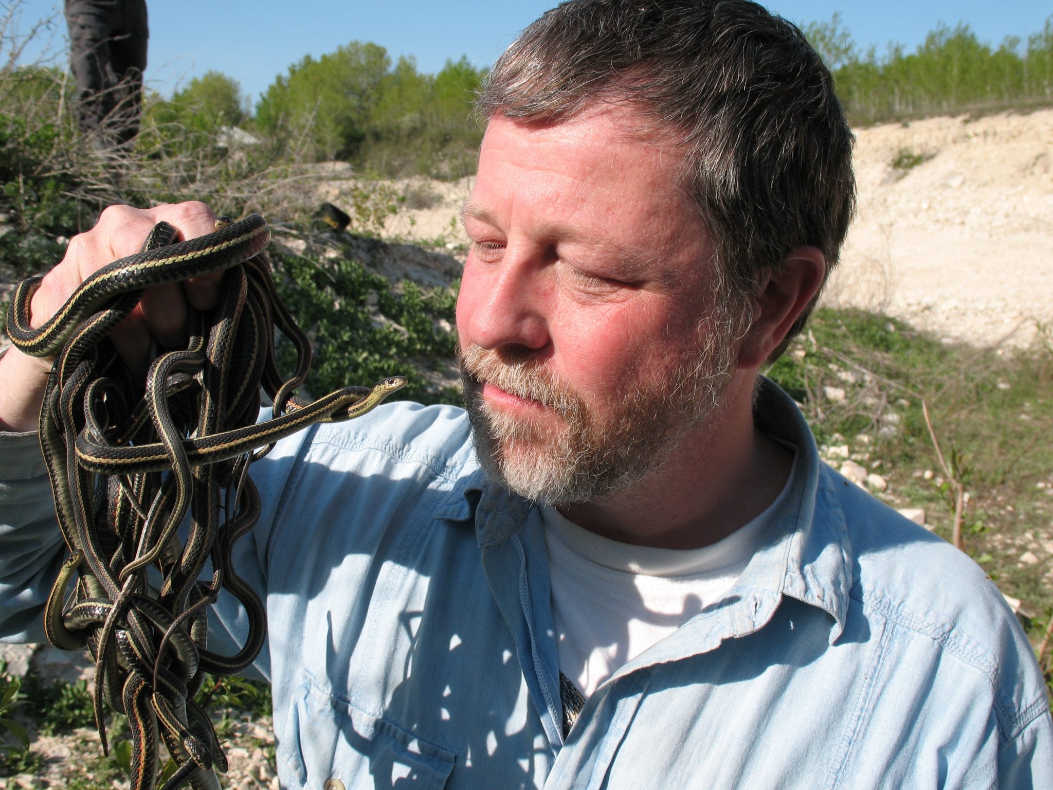 Corvallis’ Own Snake Scientist Talks Snake Sex, and More - The ...