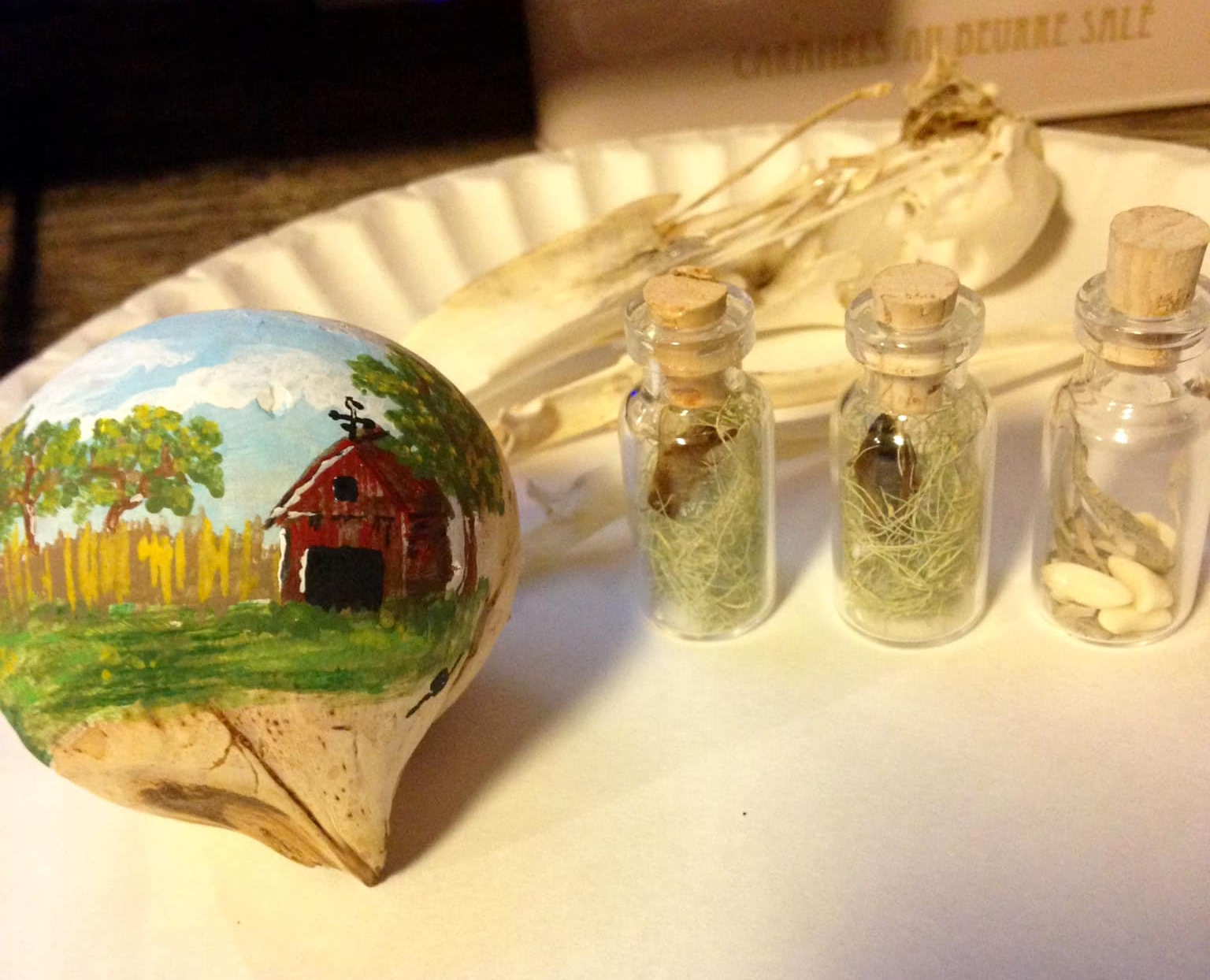 Erica Heath Has Got Badass Bones - The Corvallis Advocate