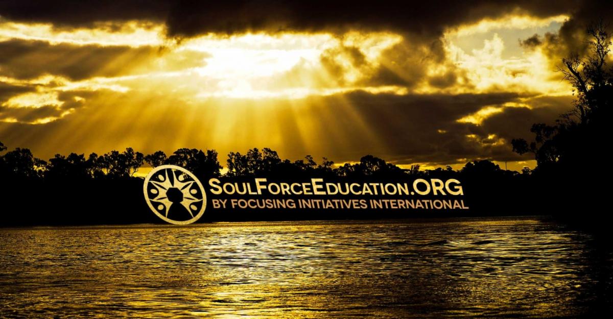 Soul Force Education: Striving for Organizational Diversity, Equity and ...