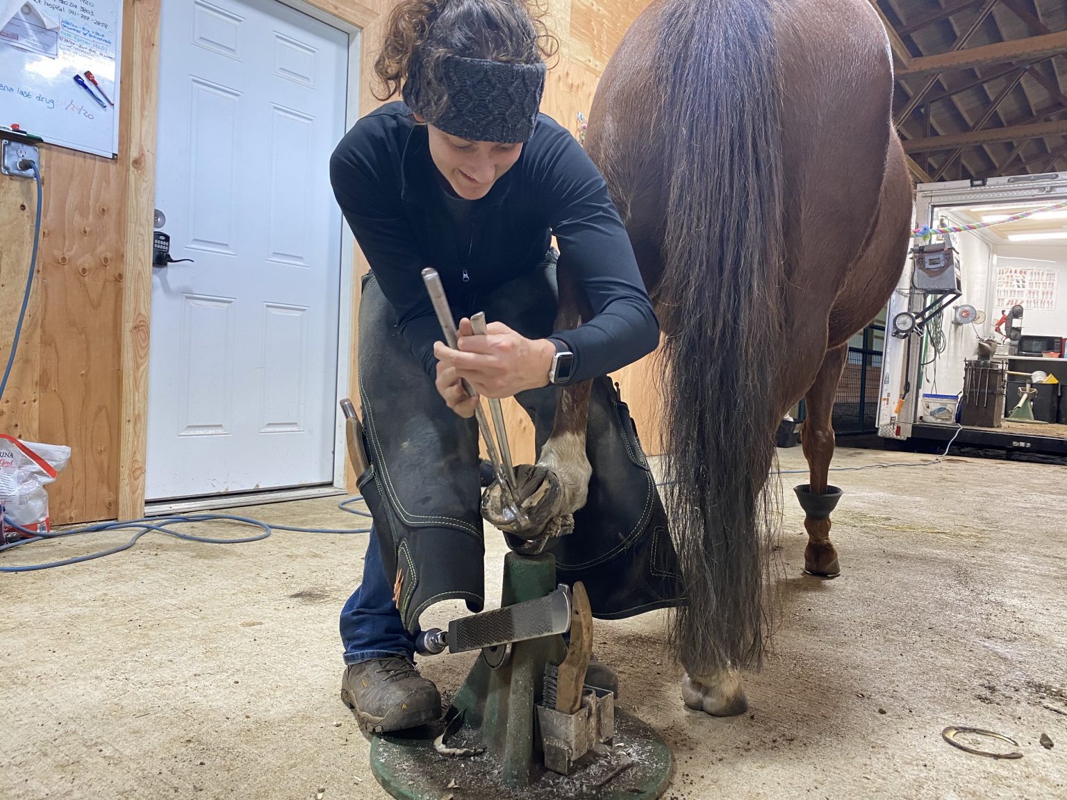 Local Ladies of the Anvil: Female Farriers - The Corvallis Advocate
