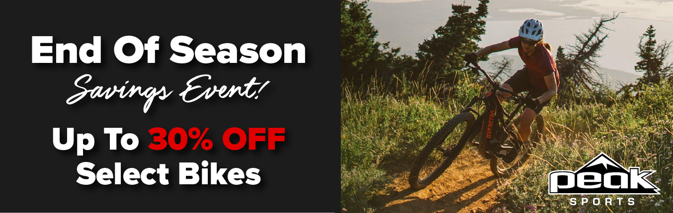 CARDV Keynote Speaker on Systemic Failures Impacting Rape, Domestic ...