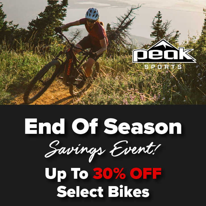 CARDV Keynote Speaker on Systemic Failures Impacting Rape, Domestic ...