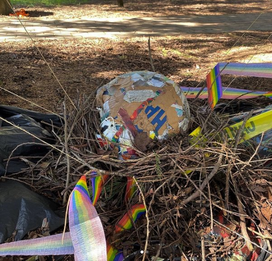 Robin Weis: Experimental Installation Artist, Community Art Advocate ...