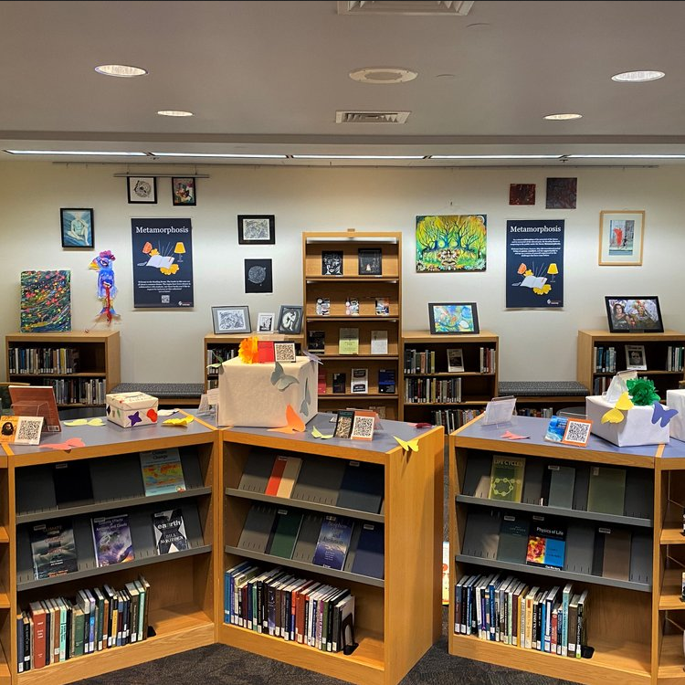 Robin Weis: Experimental Installation Artist, Community Art Advocate ...