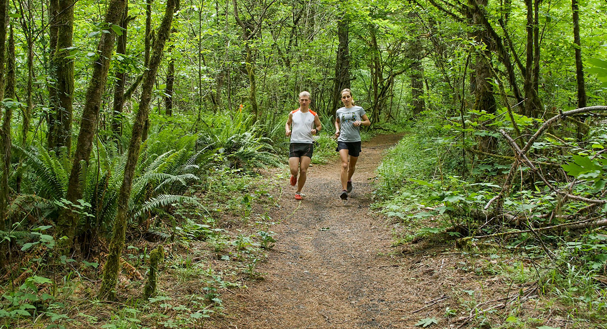 CITYSPEAK Q&A LIVESTREAM: OSU Forestry Leaders Talk Mac-Dunn and ...