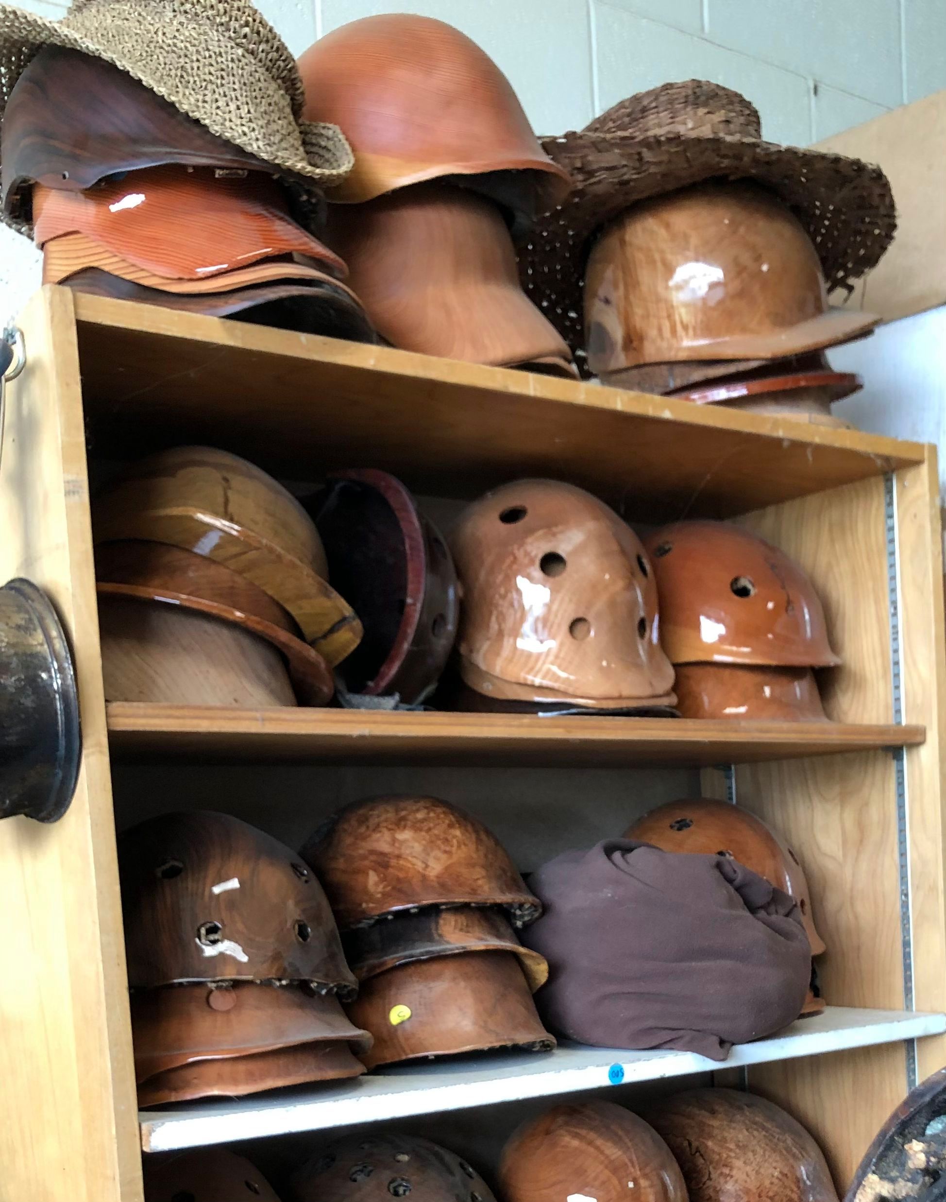 Wilderness Survival as Therapy with Dan Coyle - The Corvallis Advocate