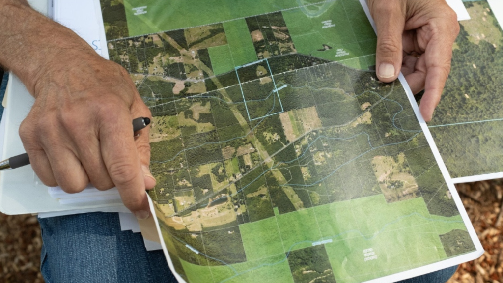 PART TWO: Banking on Oregon's Forests, Carbon Markets see Big Potential in Small Landowners ...